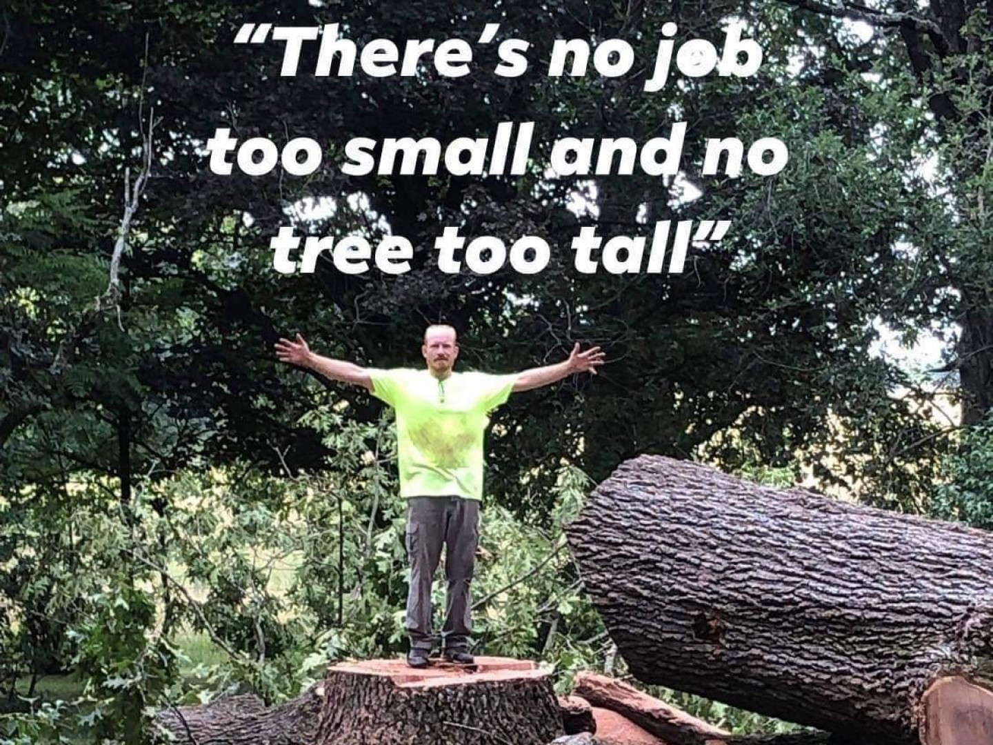 Tree Removal Service | Springfield, MO | Canopy Tree Service